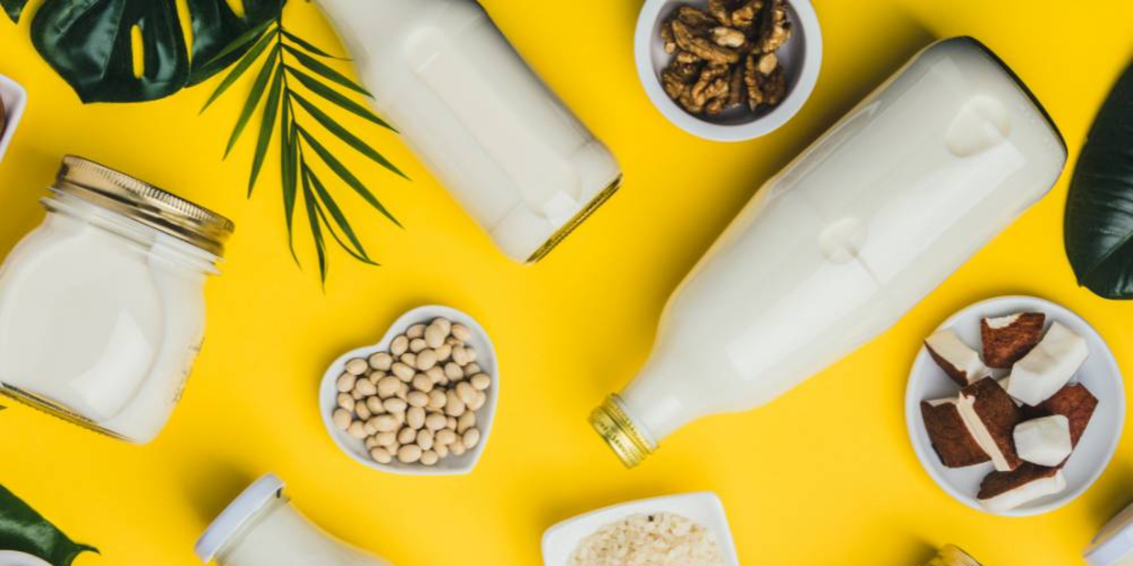 The Best Dairy-Free Baking Alternatives – Bake Me Healthy